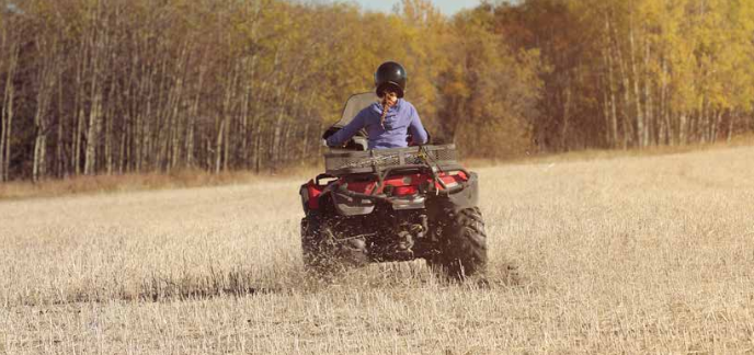 What information was needed to make rollbars on quad bikes mandatory ...